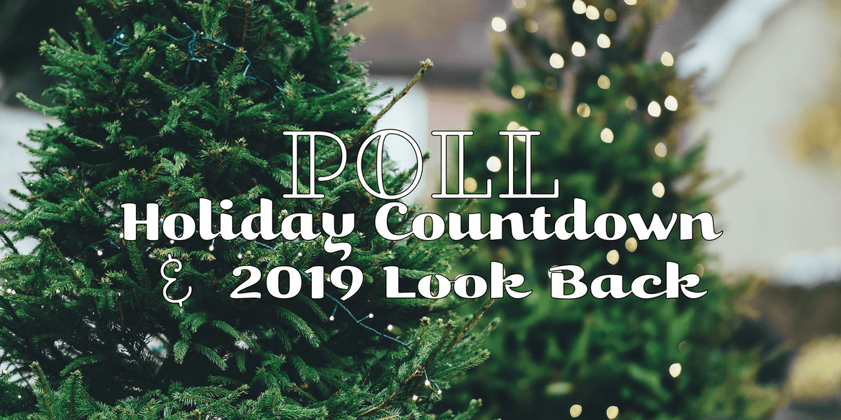 Poll | Holiday Countdown & 2019 Look Back — Twenty Sided
