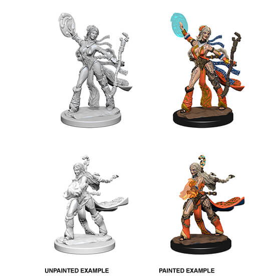 Mini - Pathfinder Deep Cuts : Human Sorcerer (Female) — Twenty Sided™