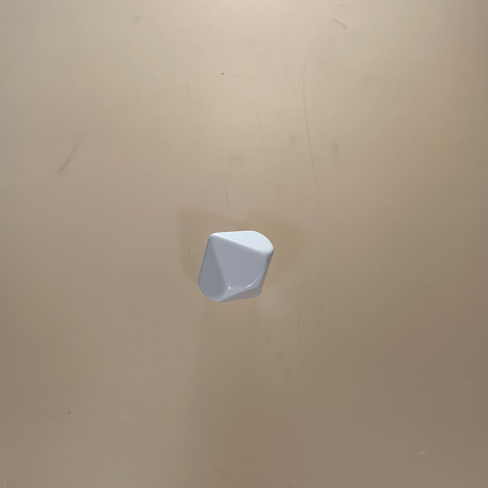 Blank Dice (16mm) d10 — Twenty Sided™