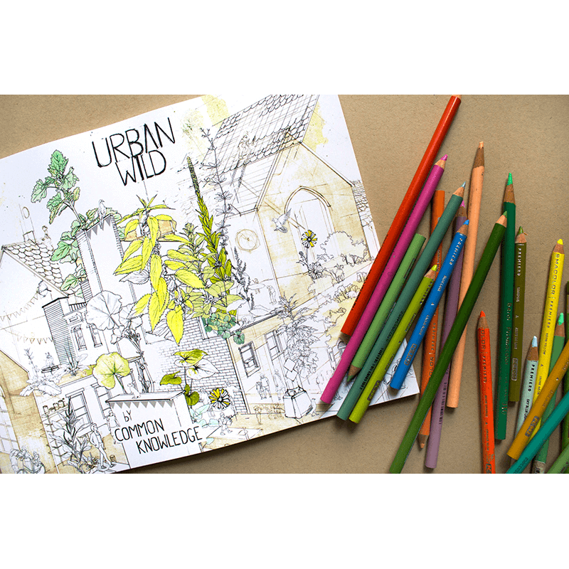 Coloring Book Urban Wild Activity — Twenty Sided™