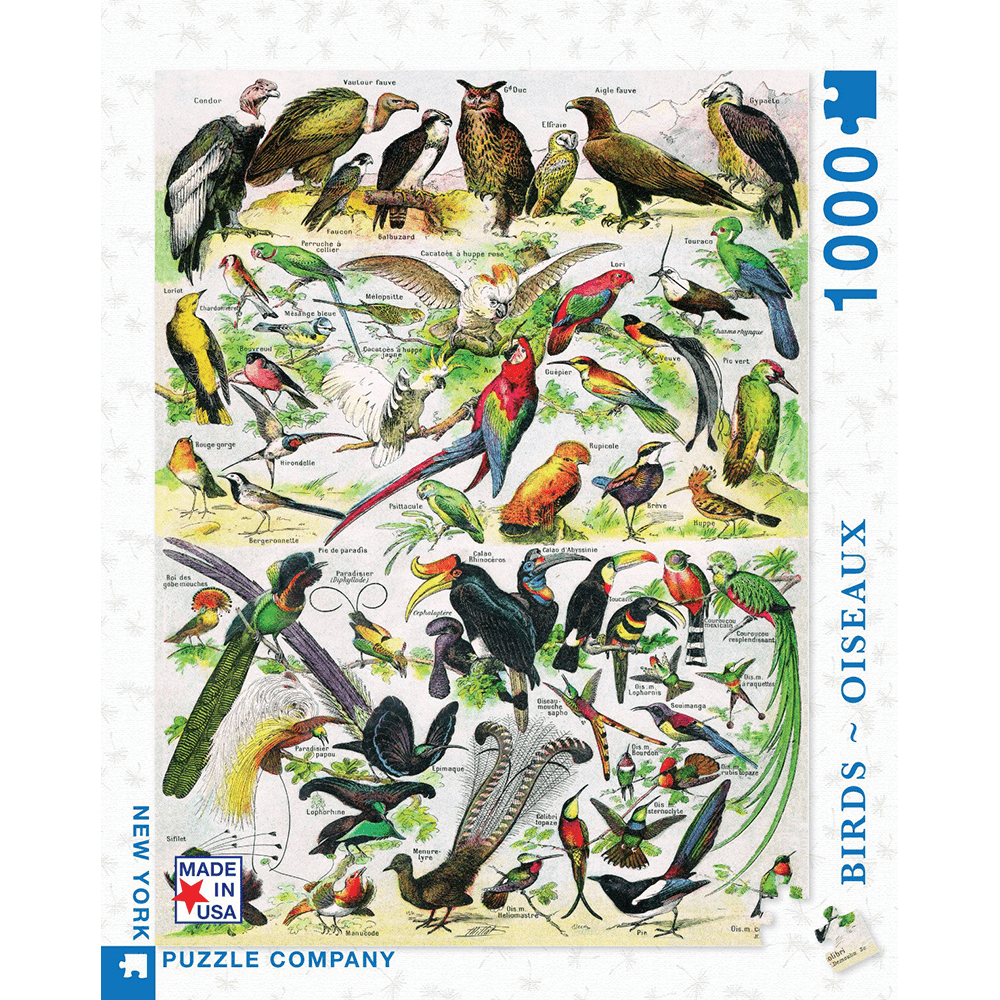 Puzzle (1000pc) Vintage : Birds — Twenty Sided™